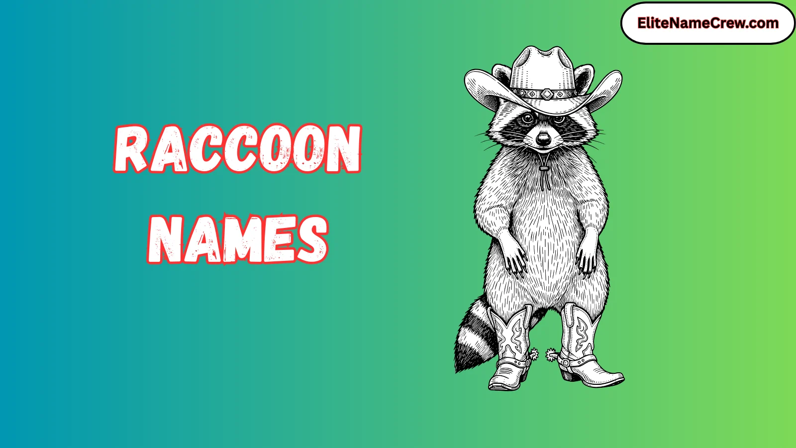 501+ Cool And Catchy Raccoon Names 2025-2026