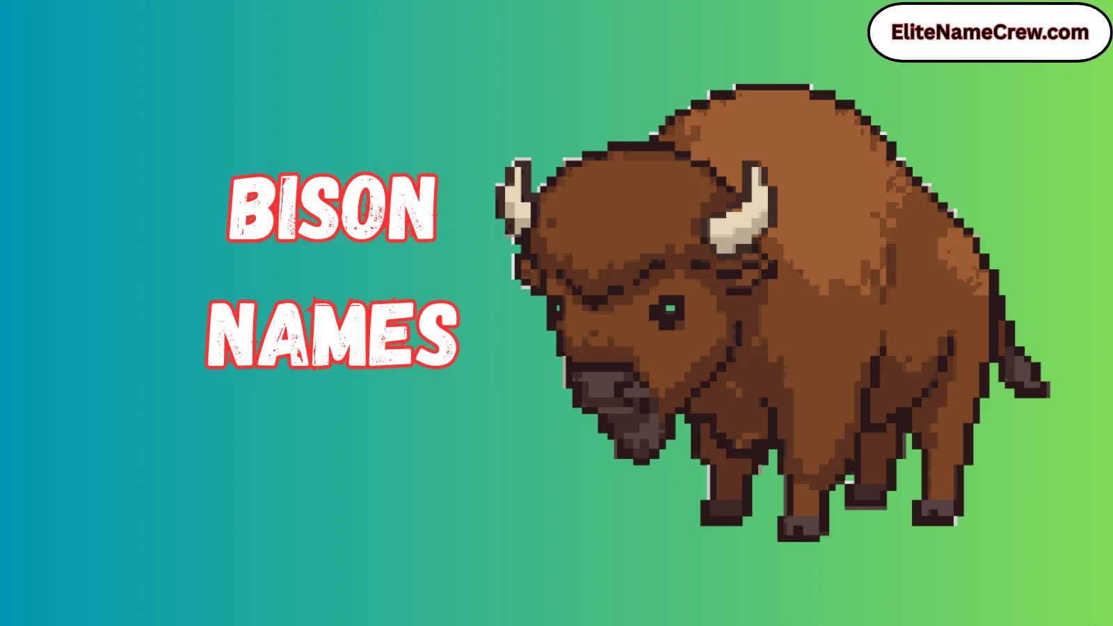 501+ Cool Bison Names 2025-2026