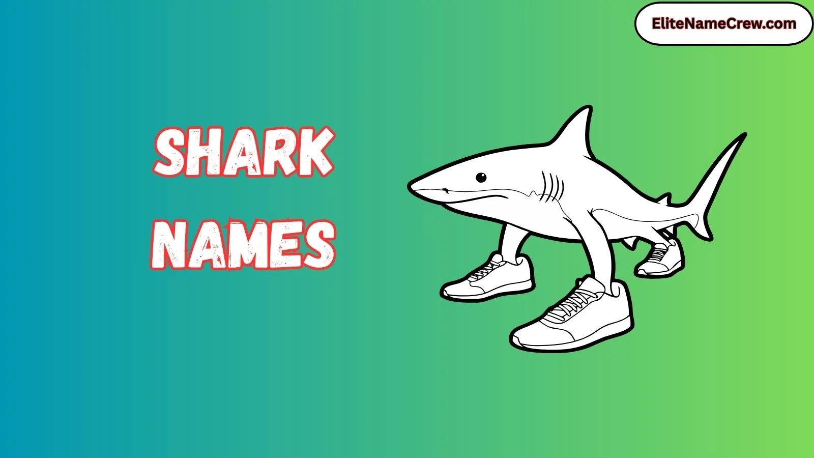 501+ Catchy and Badass Shark Names 2025–2026