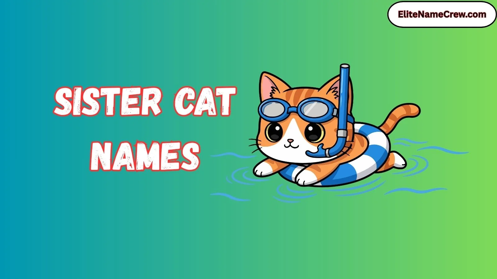 501+ Sister Cat Names (2025–2026)
