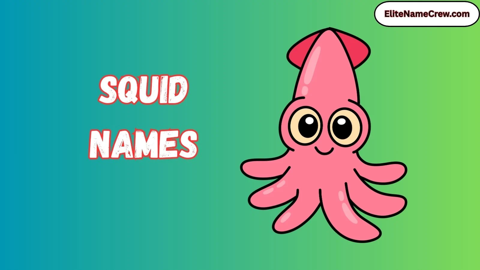 501+ Squid Names 2025-2026