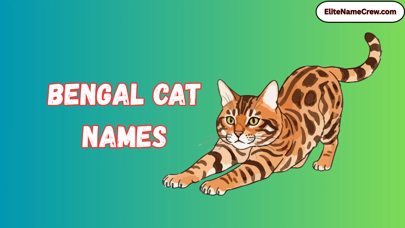 501+ Cool Bengal Cat Names With Name Generator 2026