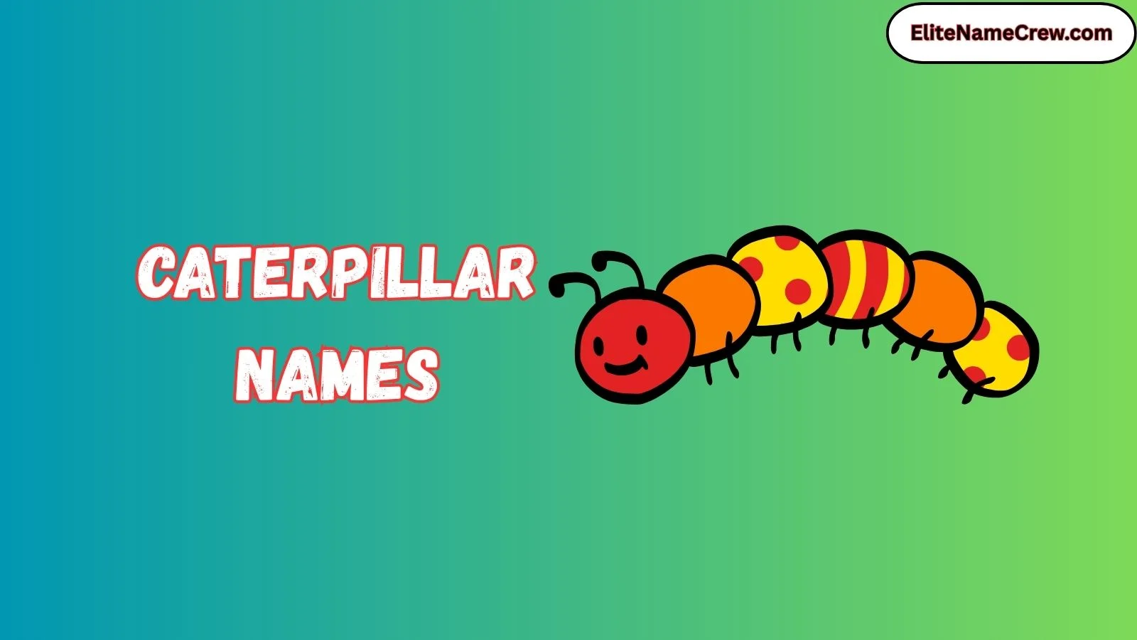 501+ Cute Caterpillar Names with Name Generator 2026