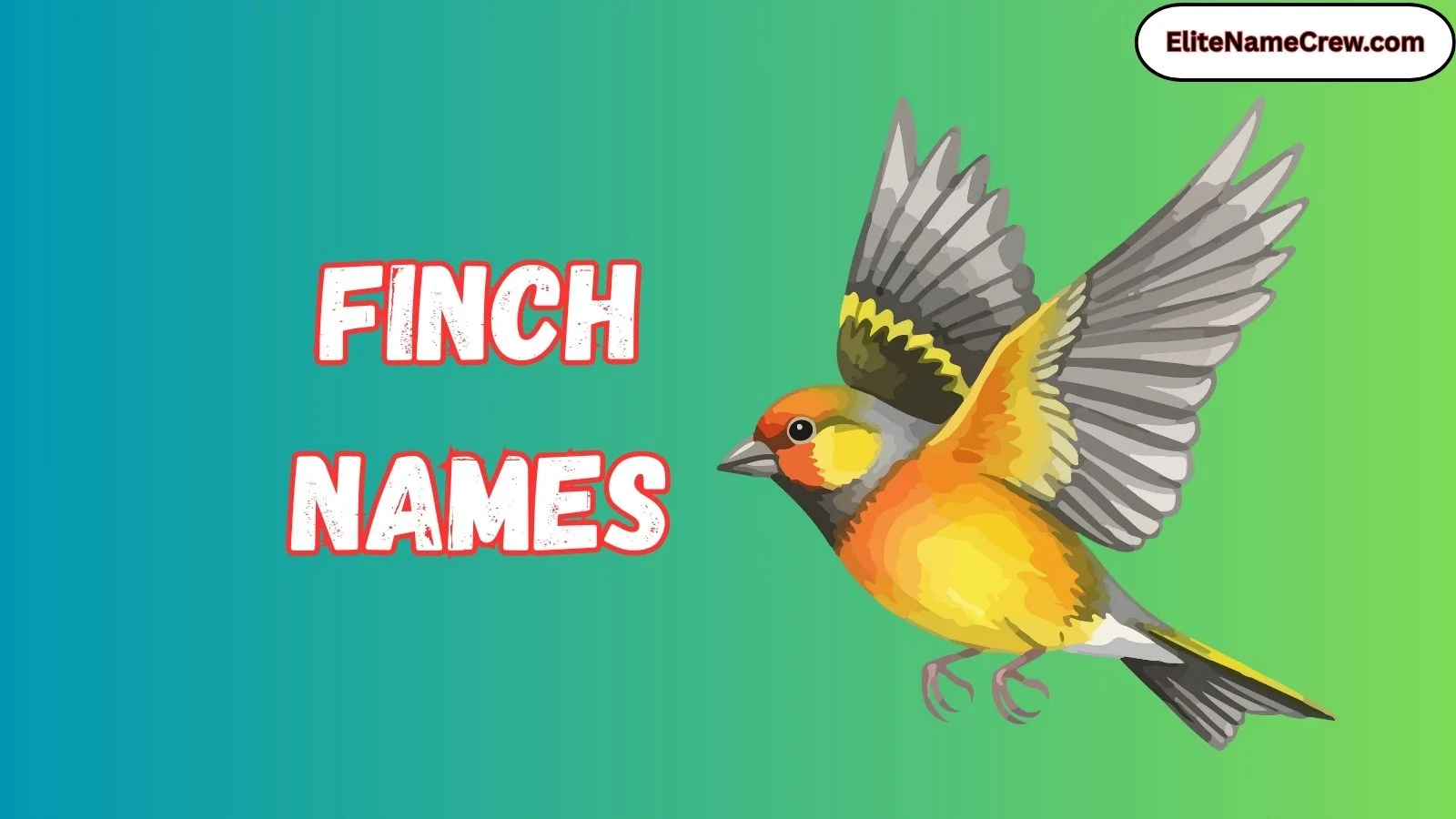501+ Cute And Catchy Finch Names 2025-2026