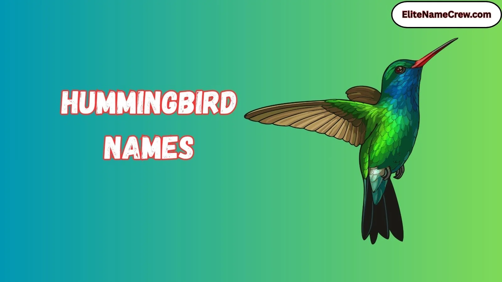 501+ Hummingbird Names with Name Generator 2026