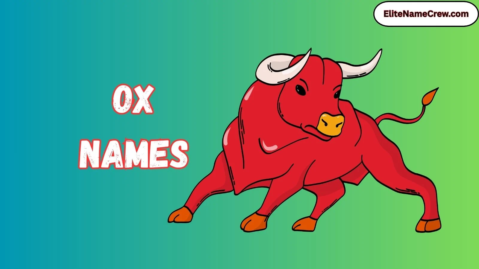501+ Ox Names 2025-26