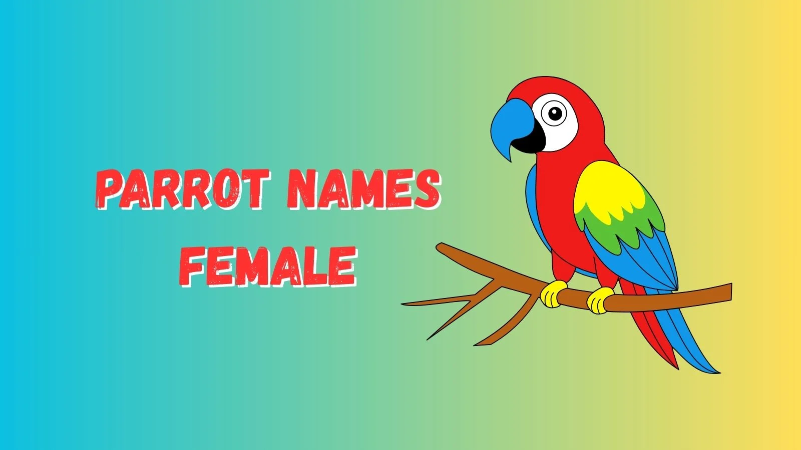 501+ Parrot Names Female 2026 – Beautiful, Unique & Meaningful Girl ...